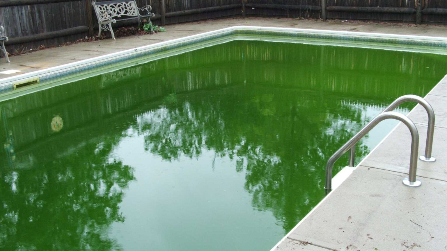 The Science of Swimming: Understanding the Critical Role of Water ...
